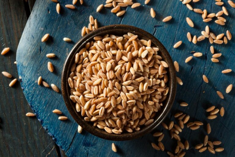 10 Popped Grains - Common Grains