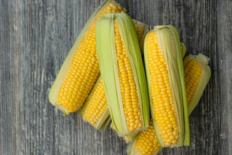 Corn: A complete guide to sourcing, storing, milling, cooking, and ...