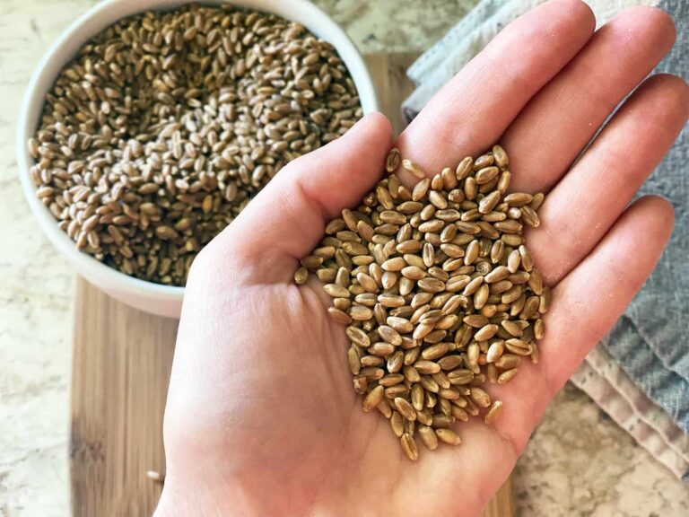 Red wheat: From sourcing to storage and beyond - Common Grains