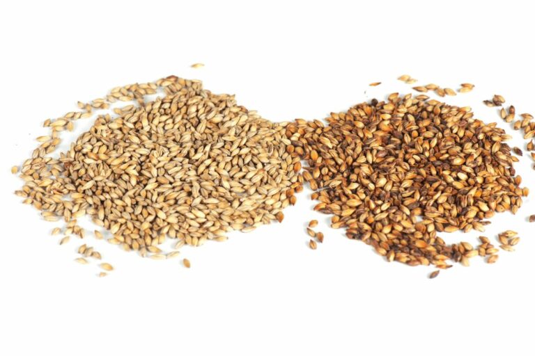 6 Malted (or sprouted) grains - Common Grains