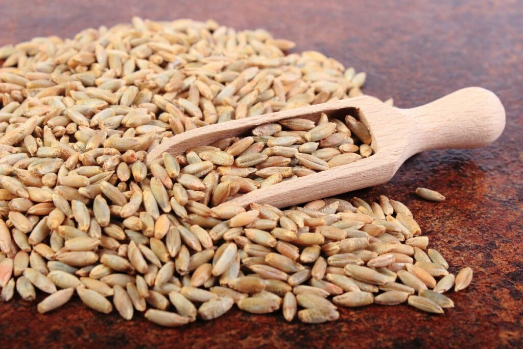 7 Low-Calorie Grains (with Nutrition Comparison Chart) - Common Grains