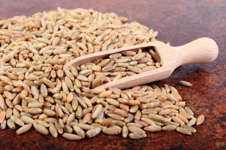 7 Low-Calorie Grains (with Nutrition Comparison Chart) - Common Grains