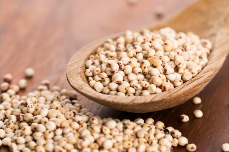 5 Alkaline grains - Common Grains