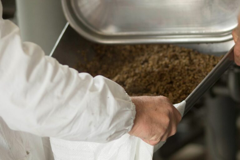 Spent grains: How long do they last and how to store them - Common Grains