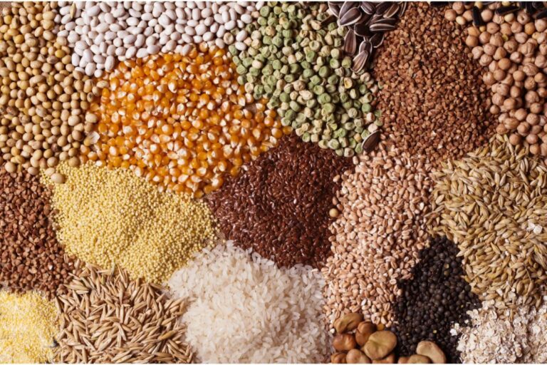 What Is The Healthiest Breakfast Grain? - Common Grains