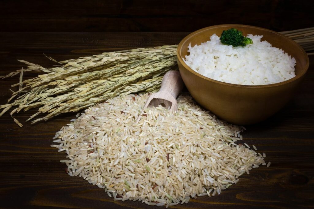 Which Is Better Rice Or Wheat? - Common Grains
