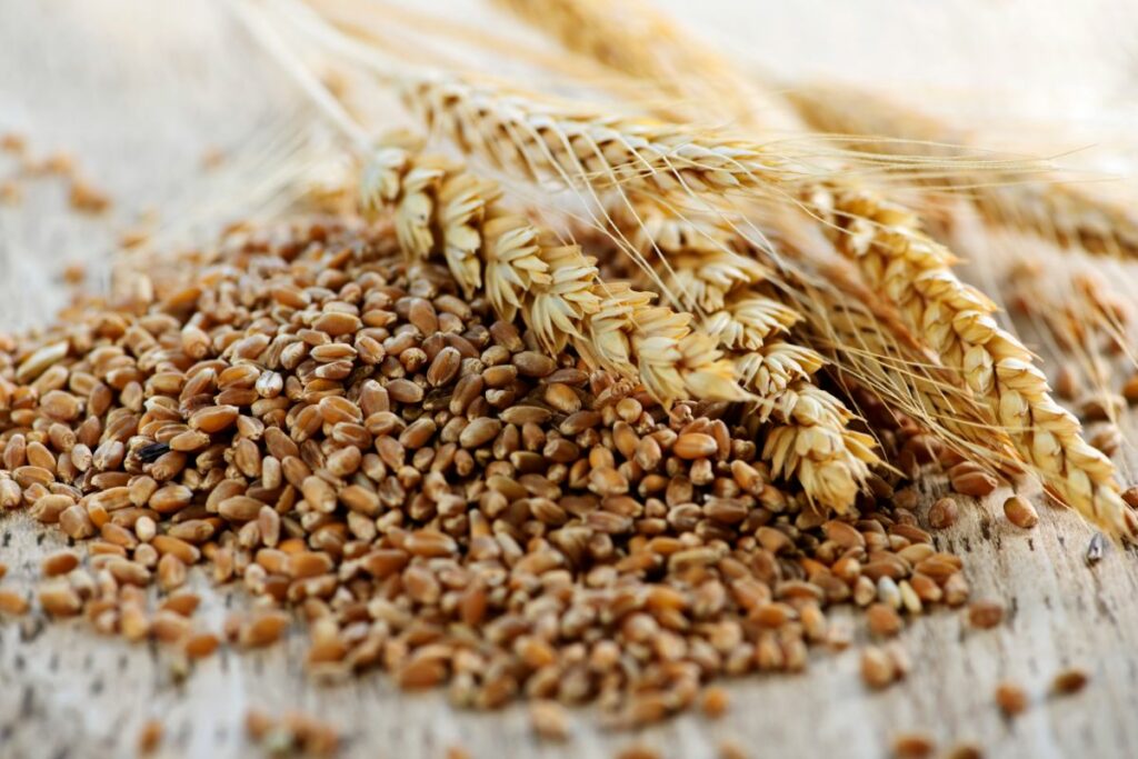 Can Diabetics Eat Amaranth Common Grains