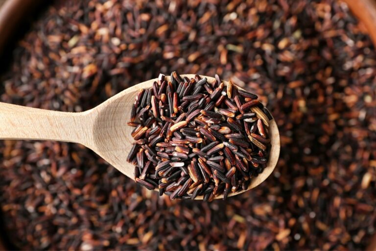 Rice: A complete guide to flavor, versatility, and nutrition essentials ...