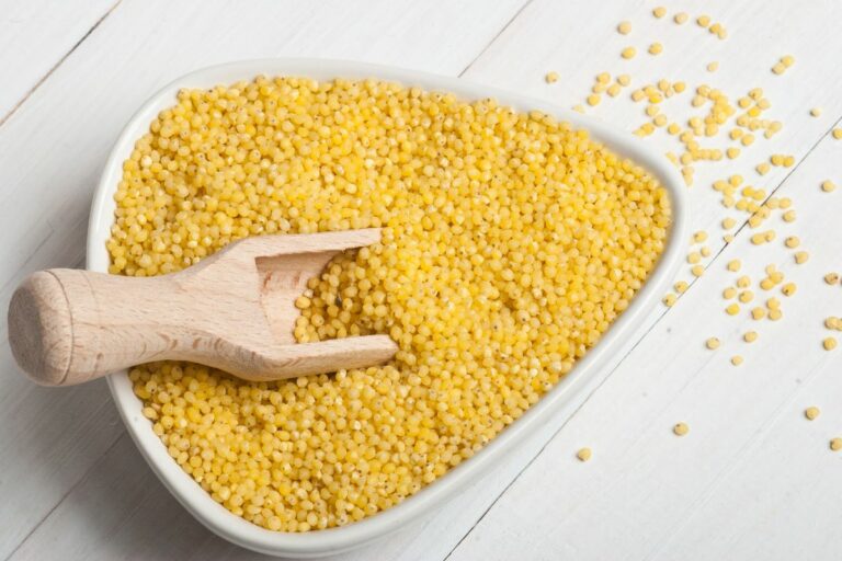 Is Millet really a superfood? - Common Grains