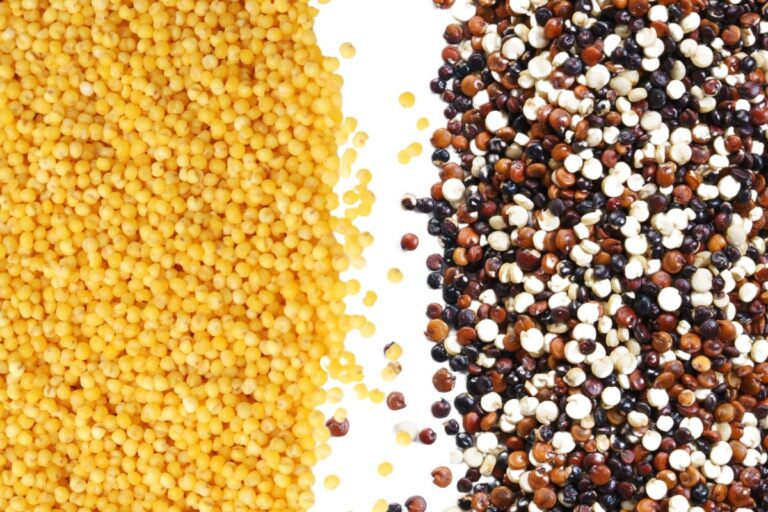 Millet Vs Quinoa: The Key Differences - Common Grains