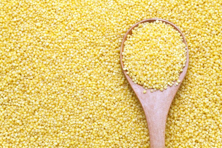 11 Proven Health Benefits Of Eating Millet - Common Grains