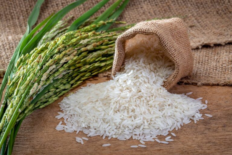Rice Vs Millet - Health Impact And Nutrition Comparison - Common Grains Rice Vs Millet - Health Impact And Nutrition Comparison - Common Grains