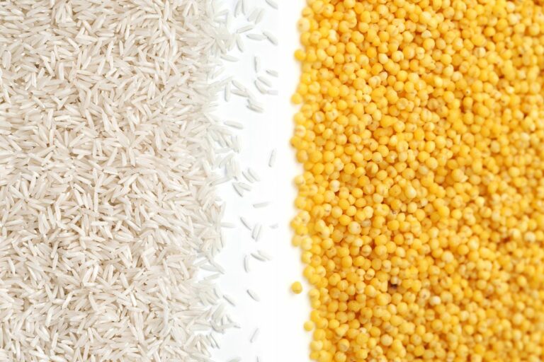 Rice Vs Millet - Health Impact And Nutrition Comparison - Common Grains