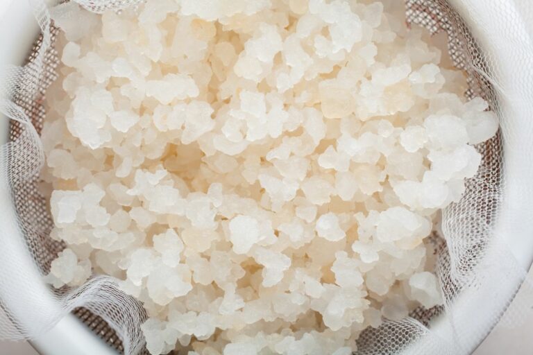 Can You Revive Kefir Grains? YES! Here's How… - Common Grains