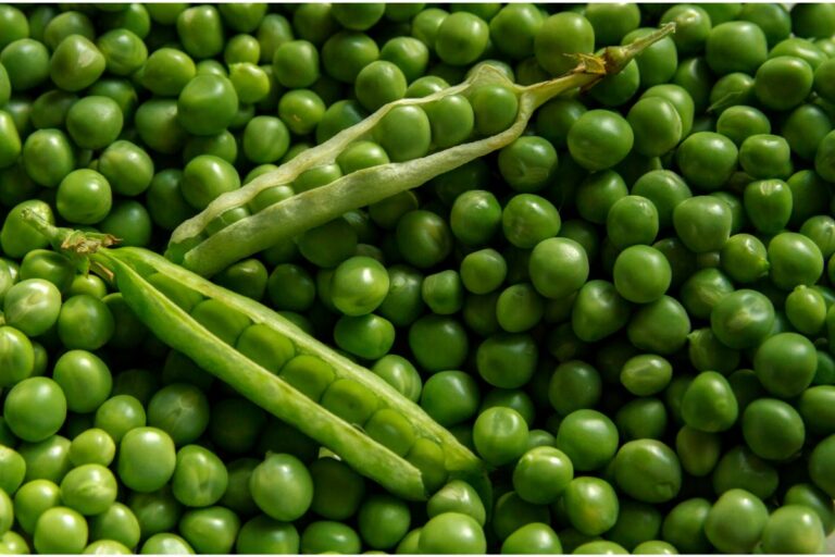 What Are Legumes? [5 Common Examples You Should Know] - Common Grains