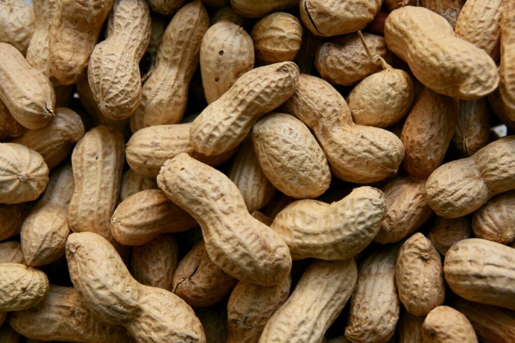 What Are Legumes? [5 Common Examples You Should Know] - Common Grains