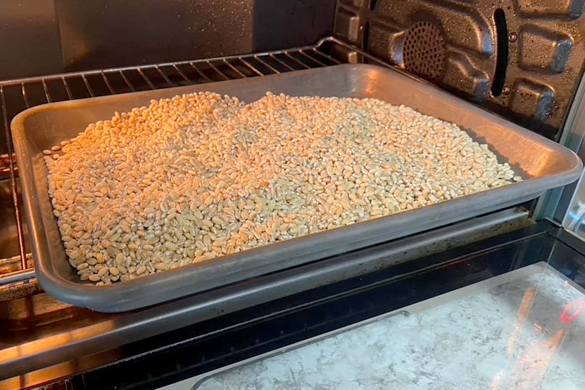 How to mill Hulled Barley for flour - Common Grains