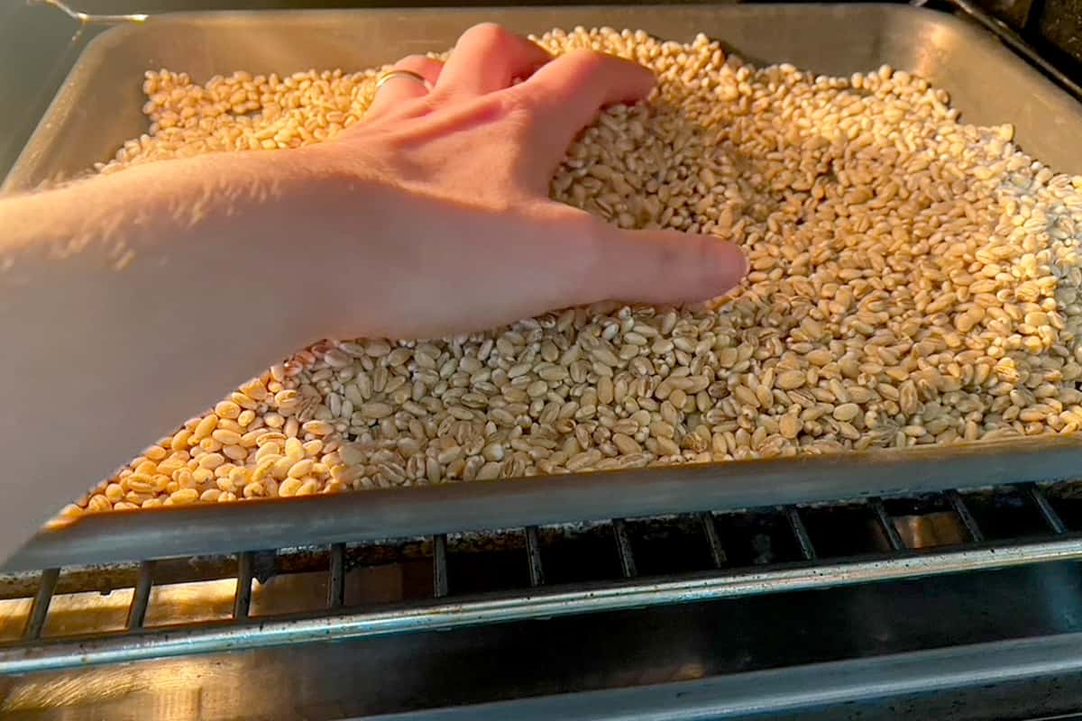 How to mill Hulled Barley for flour - Common Grains