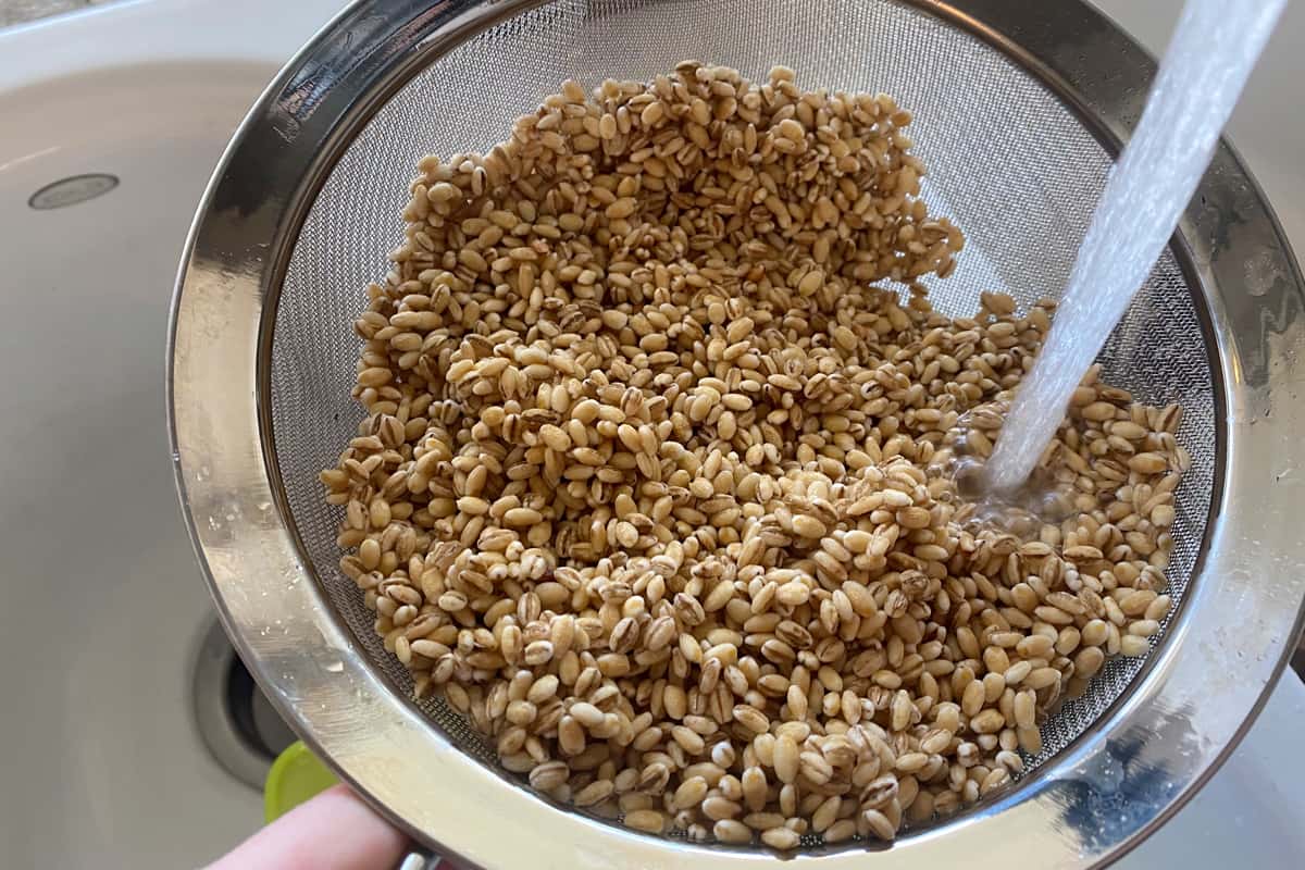 How to mill Hulled Barley for flour - Common Grains