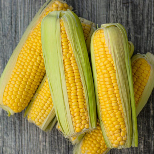 CommonGrains.com - Real, healthy, whole-grain cooking & baking