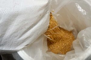 How to use food-grade buckets for whole grain storage - Common Grains