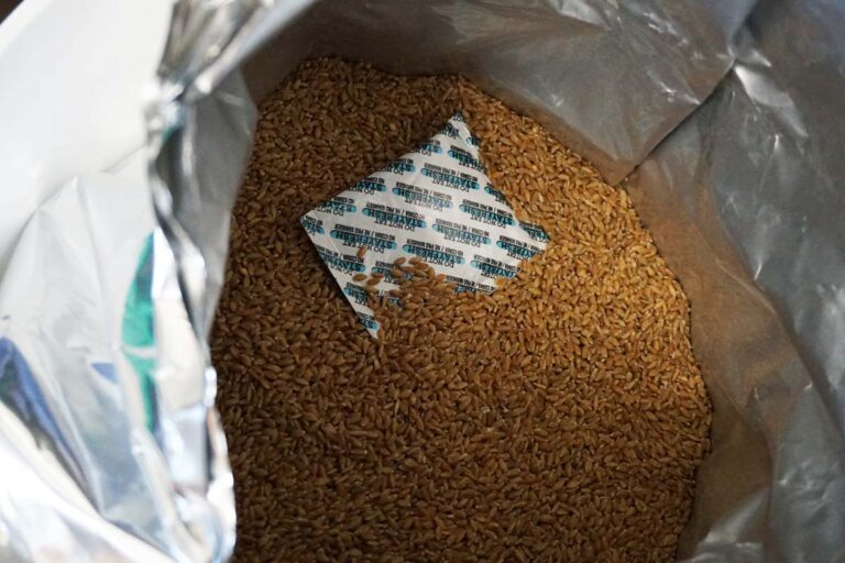 How to store whole grains - Common Grains