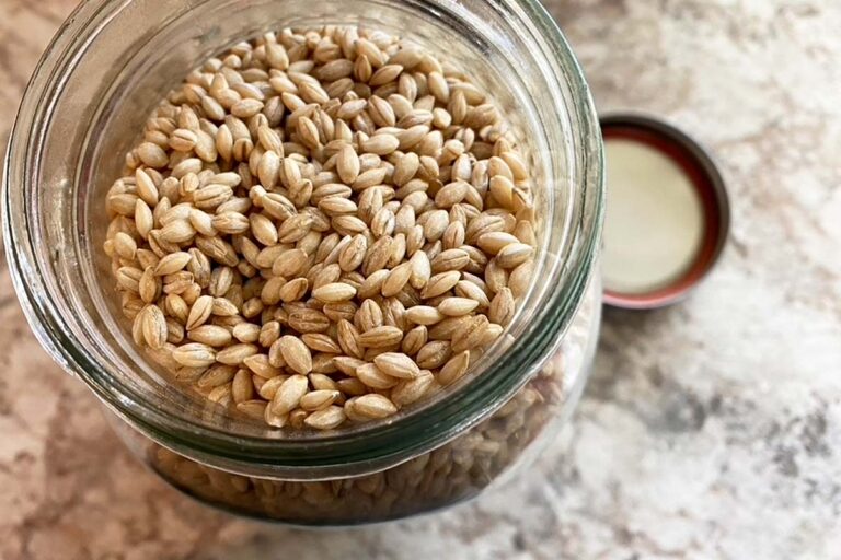 Barley: A complete guide - sourcing, types, and cooking - Common Grains