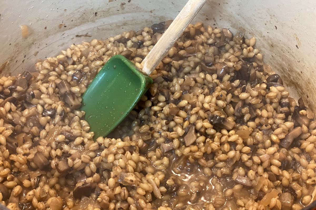 Whole grain Barley mushroom risotto ("Barlotto") - Common Grains