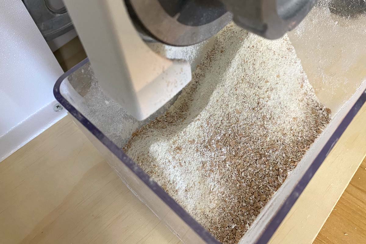 Spelt: A high-protein alternative to common wheat - Common Grains